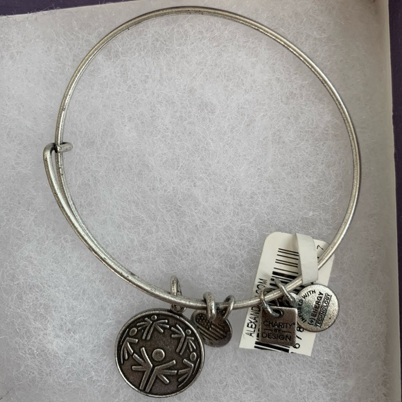 Alex and Ani | Jewelry | Alex And Ani Power Of Unity Silver Charm Bracelet Special Olympics Nwt ...